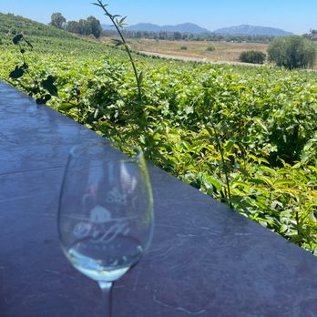 DOFFO WINES - Updated June 2024 - 1283 Photos & 825 Reviews - 36083 ...