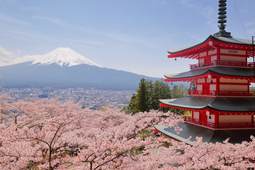 JAPAN EXPLORER - Updated August 2025 - 98-102 Elizabeth St, Melbourne ...