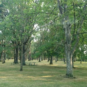 BUSH’S PASTURE PARK - 37 Photos & 24 Reviews - 890 Mission St SE, Salem ...