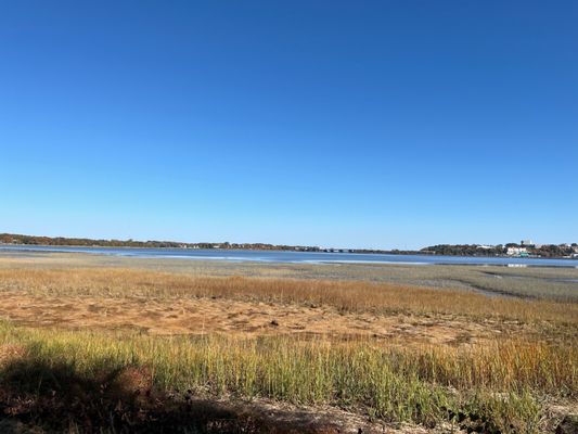 BACK COVE TRAIL - Updated January 2025 - 83 Photos & 30 Reviews ...