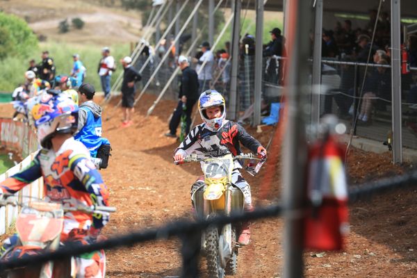 ROSEVILLE MOTORSPORTS - Updated December 2025 - 158 Photos & 154 ...