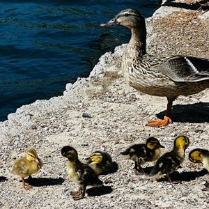 SUMMERLIN LIBRARY - Updated September 2025 - 190 Photos & 84 Reviews ...