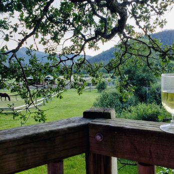 OUT’N’ABOUT TREEHOUSE TREESORT - Updated June 2024 - 298 Photos & 81 ...