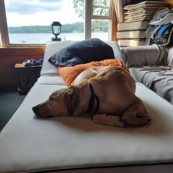 LAKE STEVENS ANIMAL HOSPITAL - Updated December 2025 - 14 Photos & 33 ...