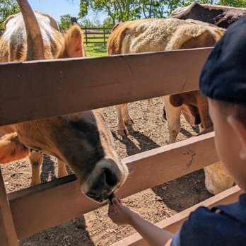 TURQUOISE ACRES RANCH - Updated October 2025 - 64 Photos - 3550 Schlipf ...