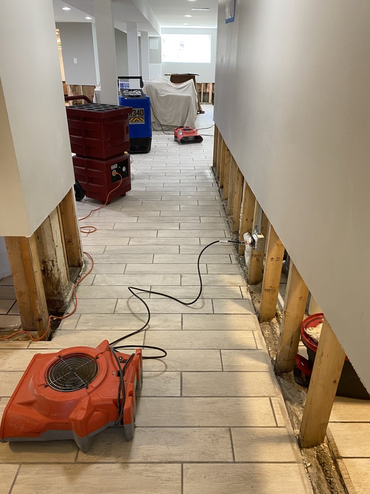 CHICAGO CLEAN FIX - Updated December 2024 - 13 Photos - 5654 W Higgins ...