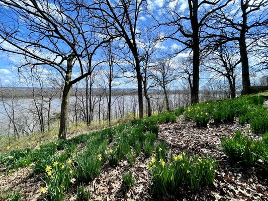 BEE TREE PARK - Updated October 2025 - 54 Photos & 17 Reviews - 2701 ...