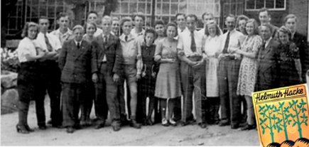 AUTO HARKE GMBH - HONDA UND MITSUBISHI - 34 Photos - Randersweide 59 ...