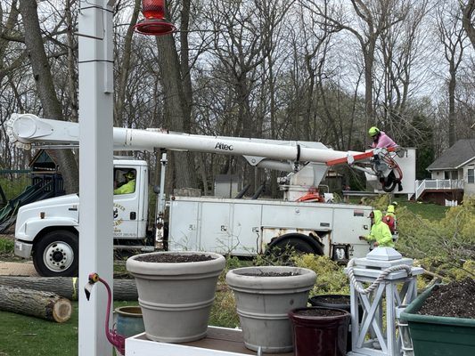 BUSY BEAVER TREE CARE - Updated August 2025 - 16 Reviews - 5302 Degroff ...