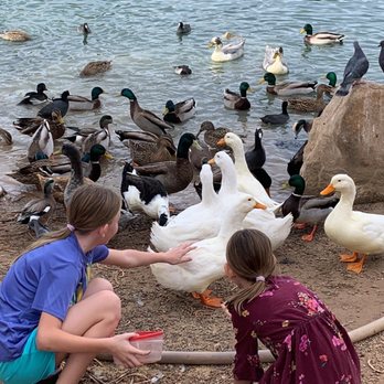 RIPARIAN PRESERVE AT WATER RANCH - Updated August 2024 - 710 Photos ...