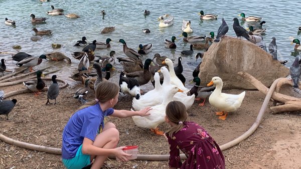 RIPARIAN PRESERVE AT WATER RANCH - 653 Photos & 231 Reviews - 2757 E ...