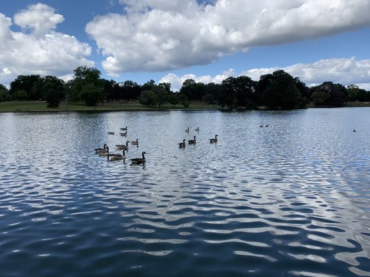 BYRD PARK - Updated September 2024 - 61 Photos & 35 Reviews - 600 S ...