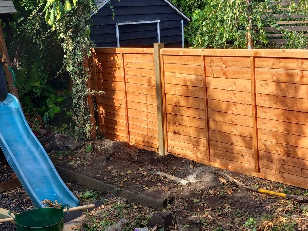 MAD HAPPY GARDENING - Updated June 2025 - 65 Photos - Iveagh Court ...