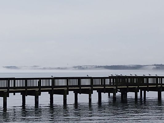 SOLOMONS ISLAND - Updated October 2025 - 148 Photos & 20 Reviews ...