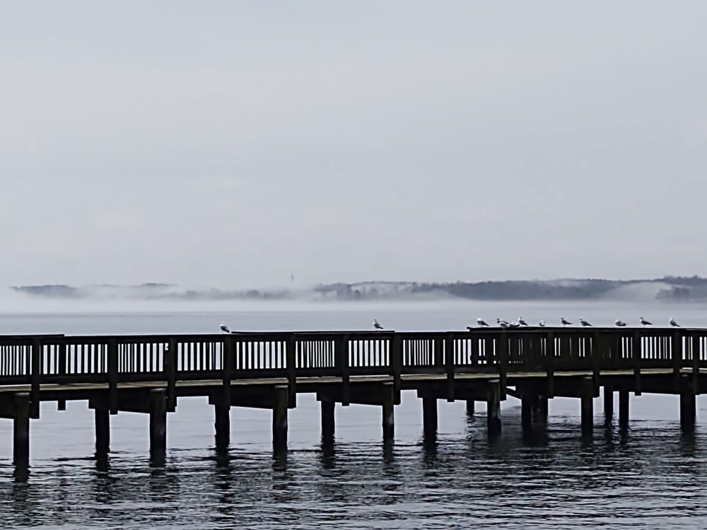 SOLOMONS ISLAND - Updated March 2025 - 148 Photos & 19 Reviews ...