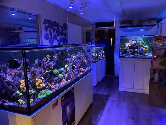NEPTUNE AQUATICS - Updated December 2025 - 348 Photos & 381 Reviews ...