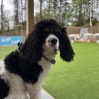 FETCH PARK - Updated September 2025 - 23 Photos & 16 Reviews - 11440 ...