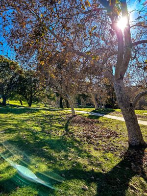 LADERA PARK - Updated June 2024 - 46 Photos & 22 Reviews - 6027 Ladera ...