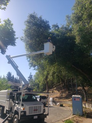 VALLEY TREE SERVICE - Updated December 2025 - 37 Photos & 38 Reviews ...