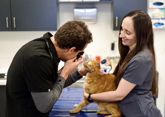 SLATON VETERINARY HOSPITAL - Updated December 2025 - 102 Photos & 191 ...