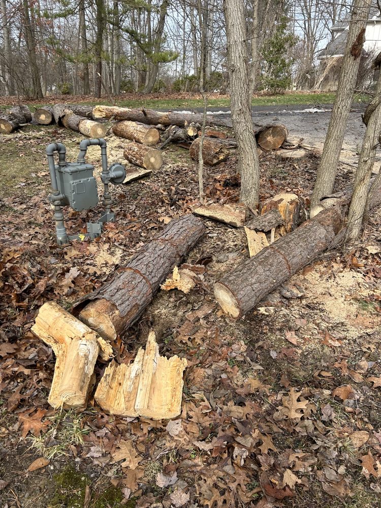 FALLING TIMBERS TREE SERVICE - Updated December 2025 - 15 Photos & 11 ...