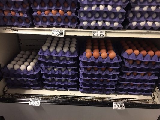 GOLDEN FRESH EGG RANCH - 39 Photos & 57 Reviews - 8332 Live Oak Ave ...