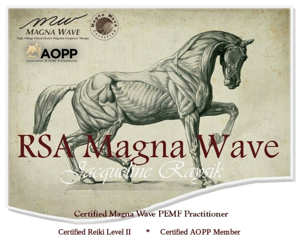 RSA MAGNA WAVE - Updated March 2025 - Lawson, Missouri - Holistic ...