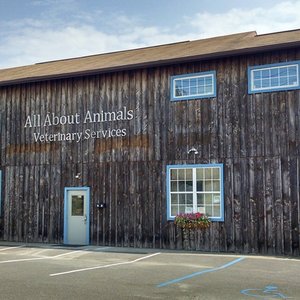 BLUE CHIP ANIMAL FARM REFUGE - Updated June 2025 - 974 Lockville Rd ...