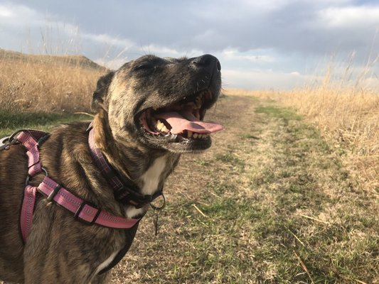 SPIRIT MOUND HISTORIC PRAIRIE - Updated September 2024 - 48 Photos ...