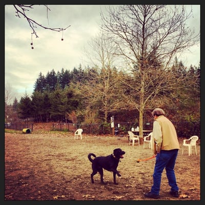 SILVERDALE DOG PARK - Updated November 2025 - 29 Photos & 21 Reviews ...