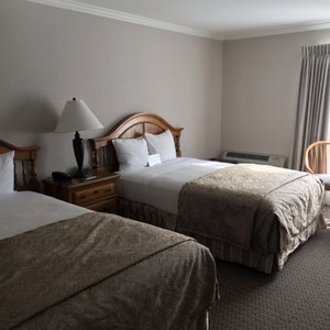 CHELSEA INN - 38 Photos & 114 Reviews - Hotels - 2095 Lombard St, San ...