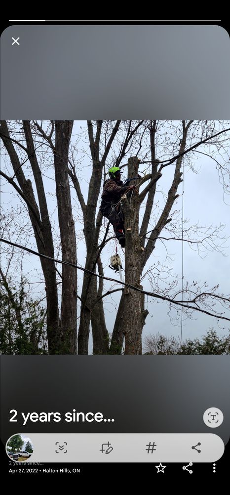 EXTREME TREE & LANDSCAPING - Updated September 2024 - Request a Quote ...