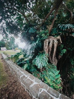 KULA HOSPITAL - Updated December 2025 - 18 Photos - 100 Keokea Pl, Kula ...