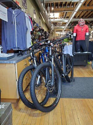 BEN’S CYCLE - Updated May 2025 - 24 Photos & 67 Reviews - 1013 W ...