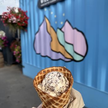 WILD SCOOPS - Updated January 2026 - 440 Photos & 383 Reviews - 429 E ...