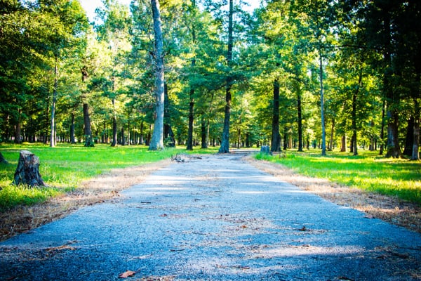 WALNUT RIDGE CITY PARK - Updated August 2024 - 11 Photos - 1010 NE 2nd ...