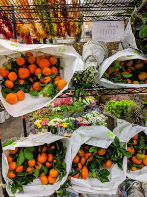 ORIGINAL LOS ANGELES FLOWER MARKET - 1179 Photos & 303 Reviews - 754 ...