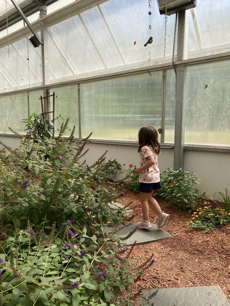 PERRY’S CAVE - Updated August 2024 - 115 Photos & 36 Reviews - 979 ...