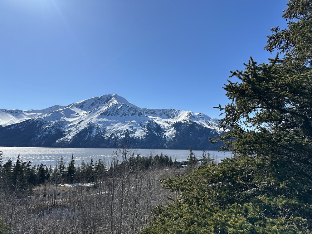 AVIS ALASKA - Updated August 2025 - 17 Photos & 78 Reviews - 441 B St ...