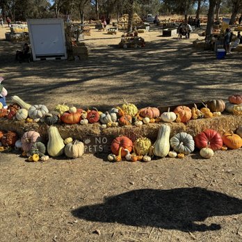 FOWLER RANCH - Updated July 2025 - 66 Photos & 33 Reviews - 3111 ...