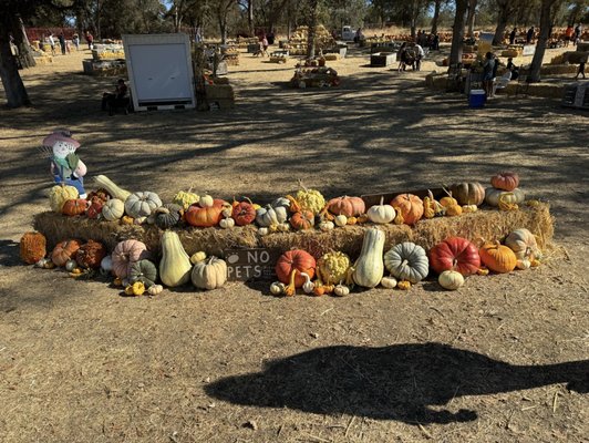 FOWLER RANCH - Updated October 2025 - 83 Photos & 45 Reviews - 3111 ...