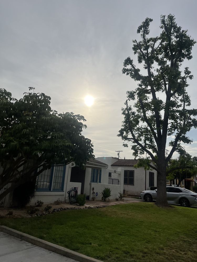 ERIC TREE SERVICE - Updated October 2025 - 64 Photos - Riverside ...