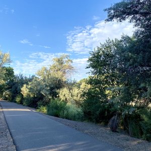 PASEO DEL BOSQUE TRAIL - 111 Photos & 24 Reviews - Along The Rio Grande ...