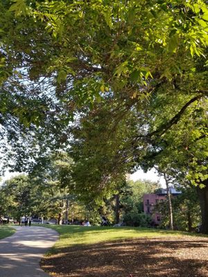 FORT GREENE PARK - 271 Photos & 114 Reviews - Parks - 85 S Oxford St ...