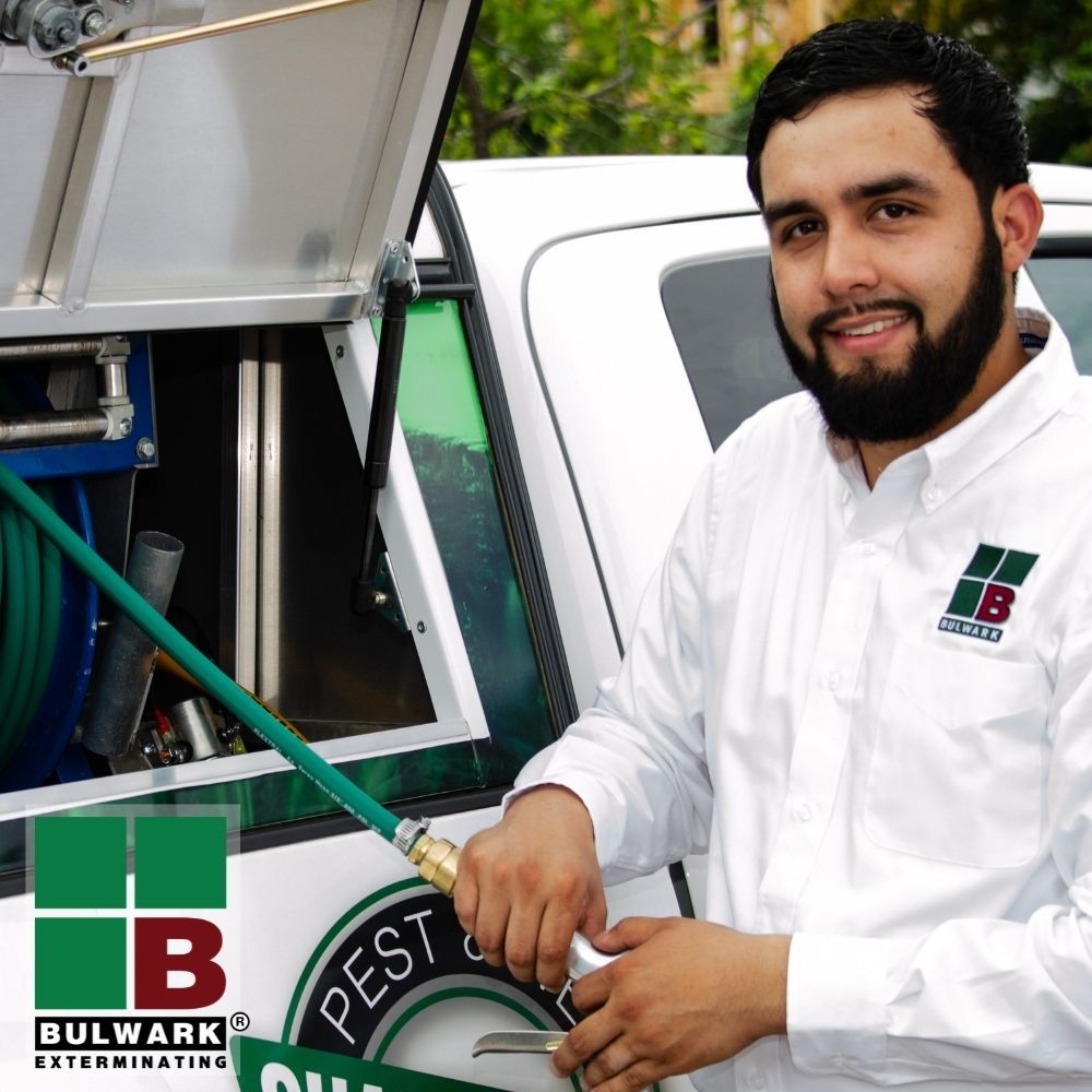 BULWARK EXTERMINATING - 12 Photos - Seattle, Washington - Pest Control ...