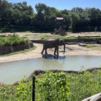 DALLAS ZOO - Updated October 2025 - 1928 Photos & 520 Reviews - 650 S R ...