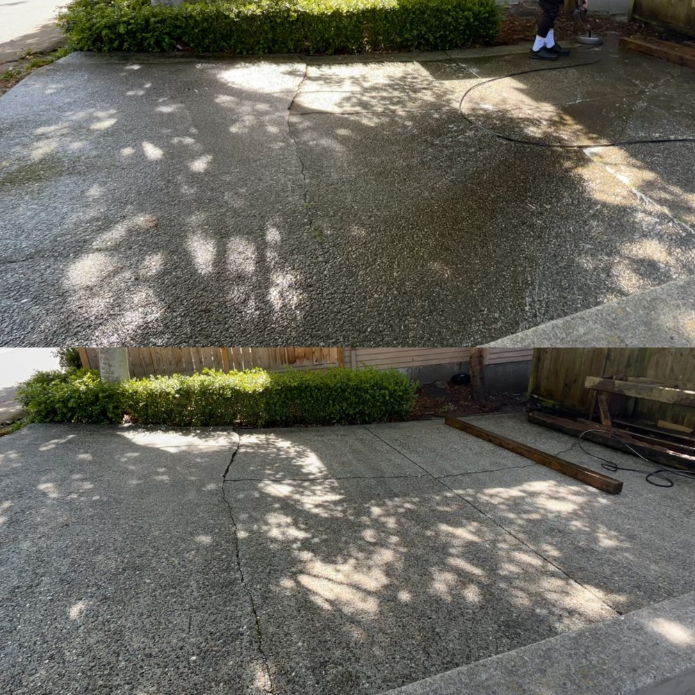 SWAN CLEANING SERVICES - Updated July 2024 - Request a Quote - 244B ...