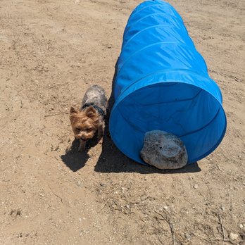 OLIVE DELL RANCH - Updated October 2025 - 11 Photos & 40 Reviews ...