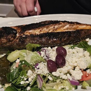 OPA GRILLE - Updated October 2025 - 75 Photos & 153 Reviews - 505 ...