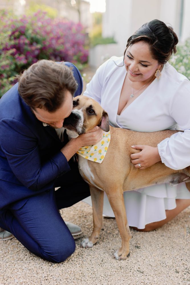 SARAH BLOCK PHOTOGRAPHY - Updated June 2025 - 87 Photos & 22 Reviews ...